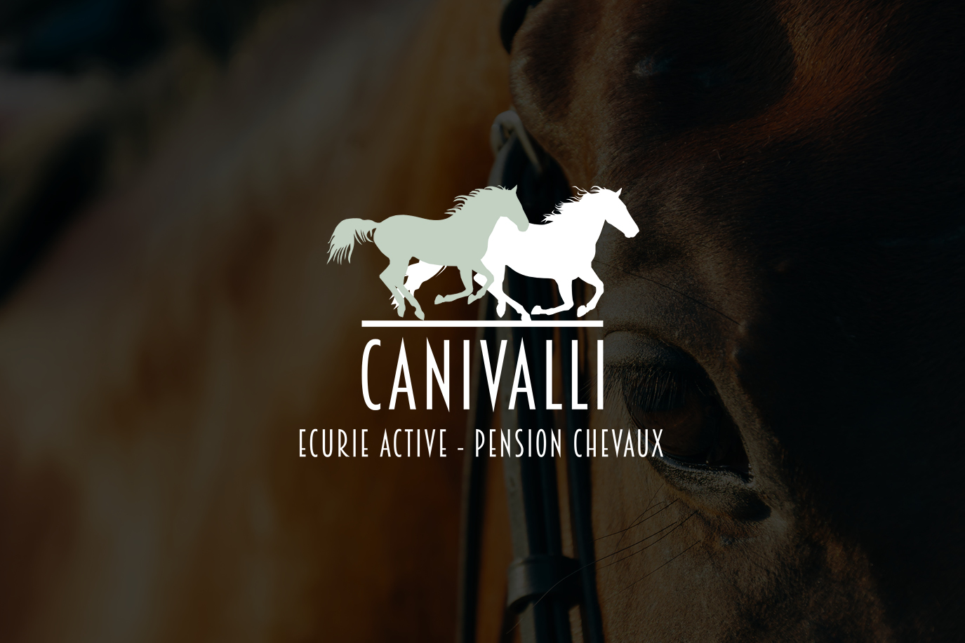 Création logo écurie Alsace • A3 Design